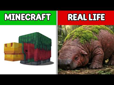 Minecraft VS Real Life – What Minecraft Looks Like in Real Life!