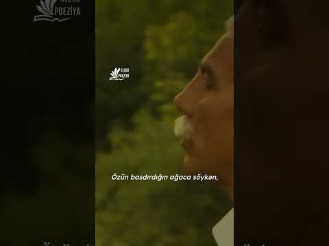 Zəlimxan Yaqub - Vəfalıymış [#Şeir #Poeziya]