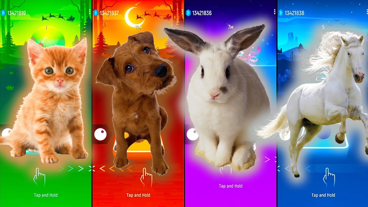 Kitty - Doge - Bunny - Horse | Tiles Hop EDM Rush! - YouTube