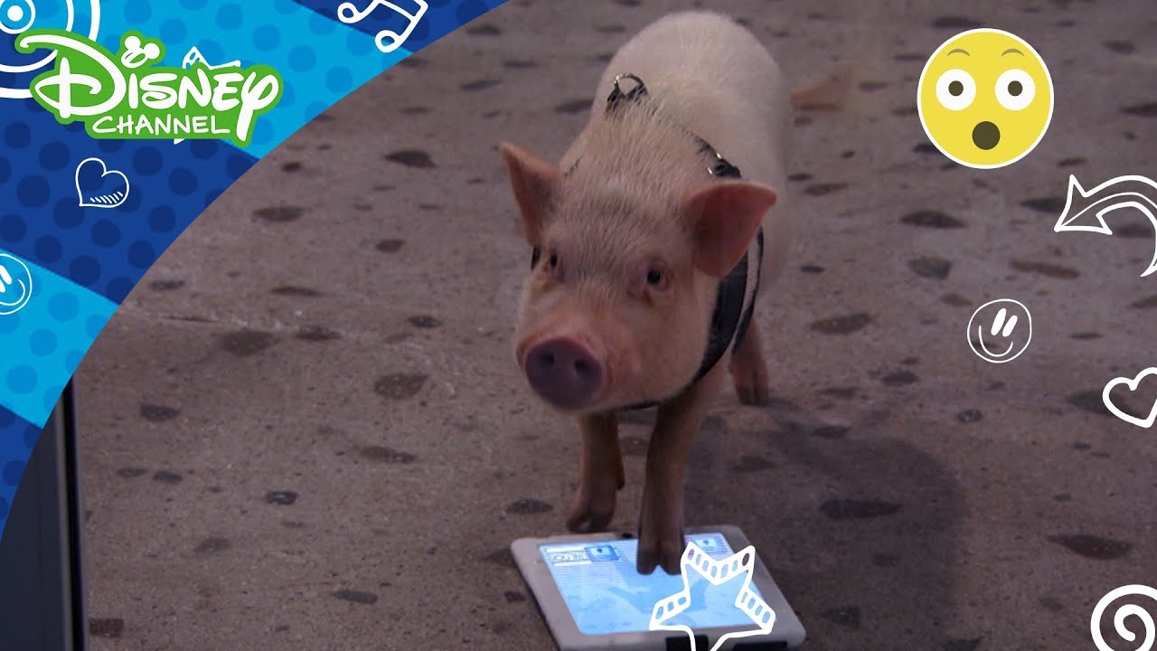 Lab Rats: Elitestyrken | Klarer Skylar seg? - Disney Channel Norge ...