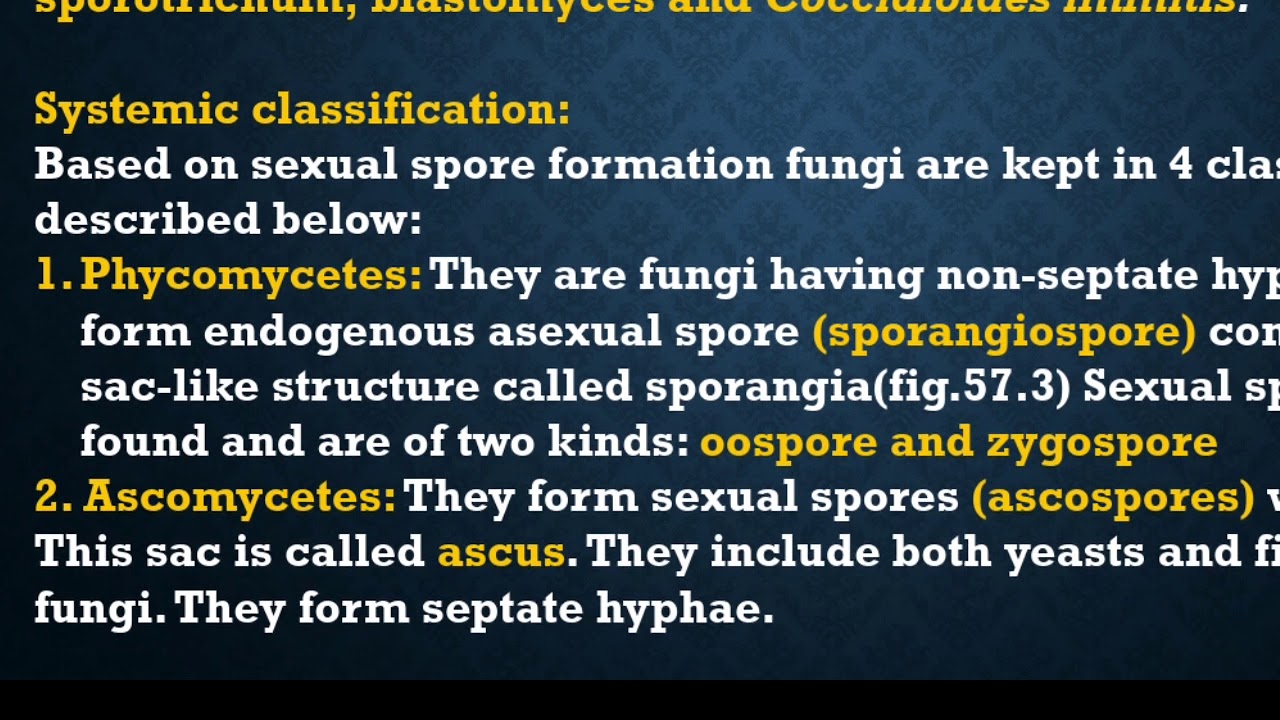 Mycolog theoretical: lec 2 - YouTube