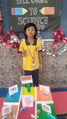 Sense organs#1st grade#spk #viralvideo - YouTube