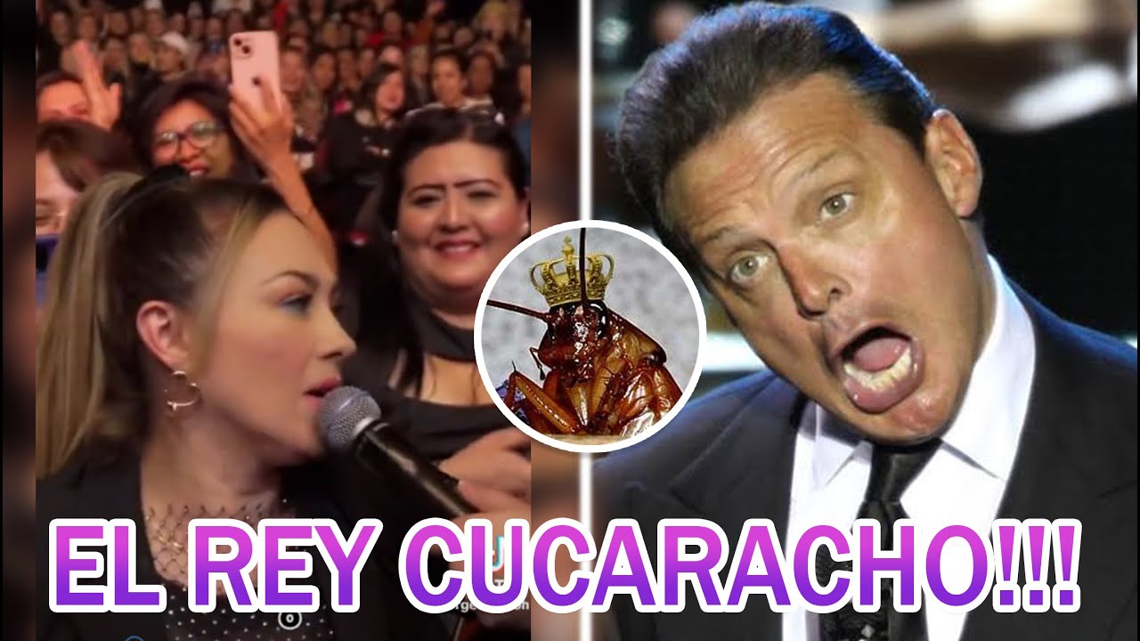 ARACELY ARÁMBULA 'se va con todo' sobre LUIS MIGUEL, lo llama el 'REY CUCARACHO ' - YouTube