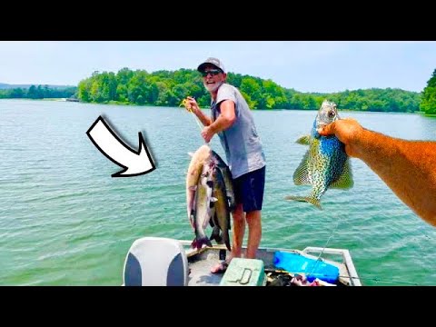 40 Lbs of Catfish in No TIME! SHOCKING! - YouTube