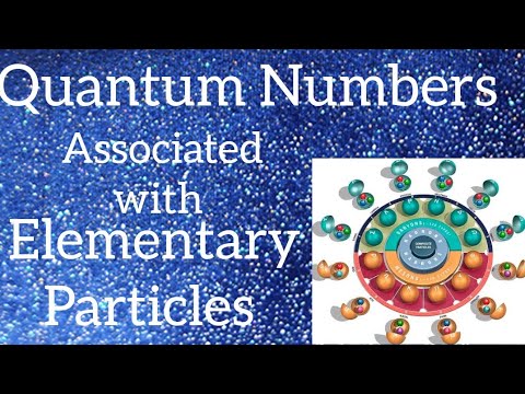 Quantum Numbers associated with The Elementary Particles || Particle ...