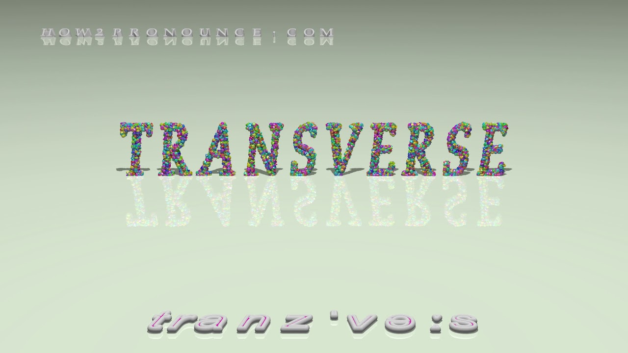 transverse - pronunciation + Examples in sentences and phrases - YouTube