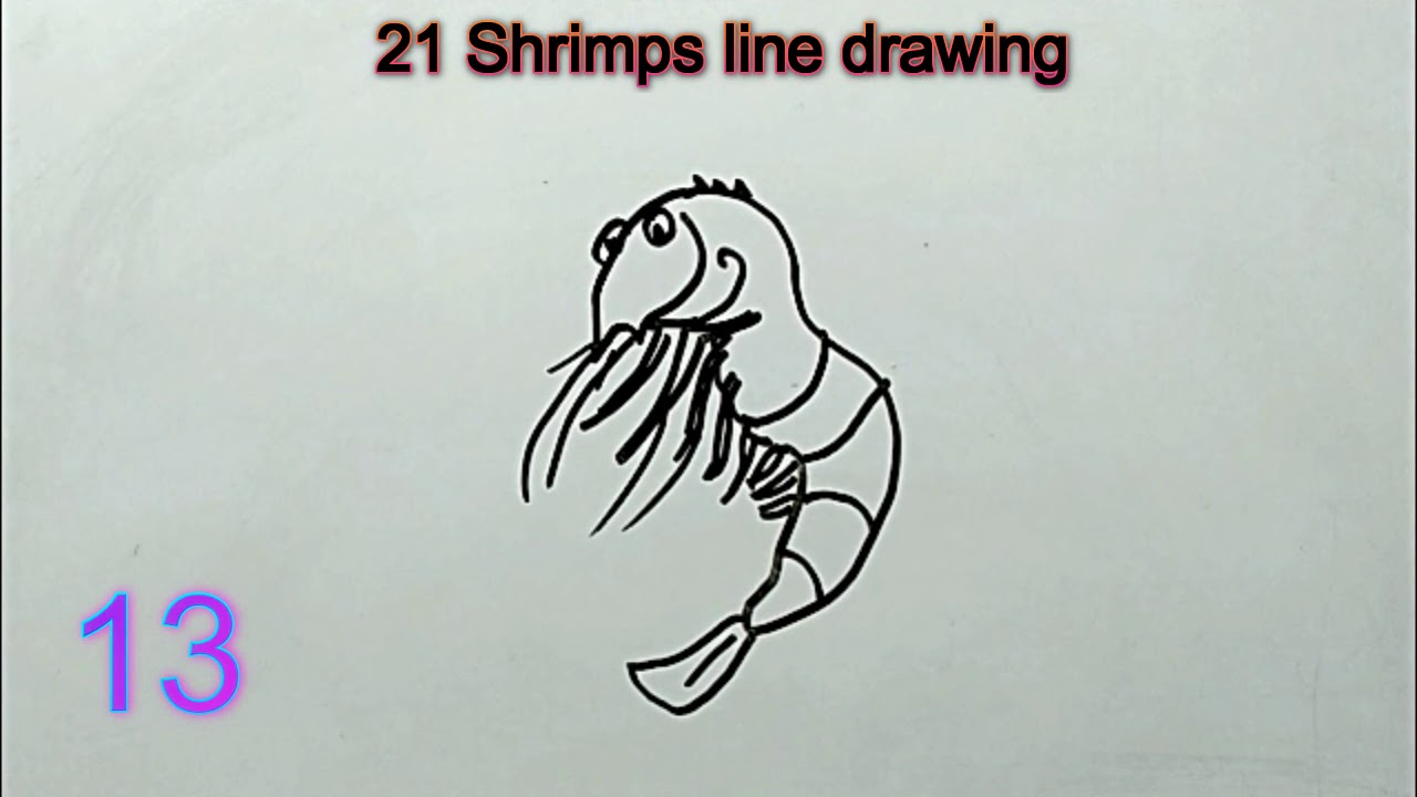 21 Shrimps line drawing | How to draw a shrimps easily - YouTube