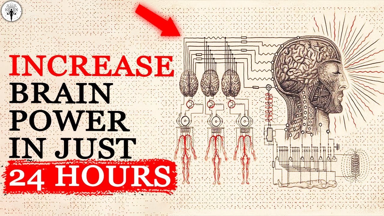 ‼️INCREASE YOUR BRAIN POWER IN JUST 24 HOURS‼️ Improve Your Memory ...