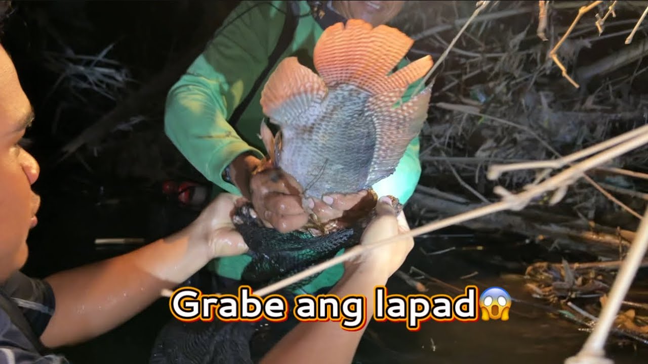ANG LAPAD NA TILAPYA😱|Pangasinan|. - YouTube
