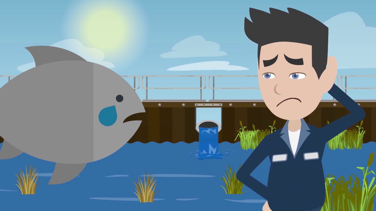 The Smart Fish Ladder: An introduction - YouTube
