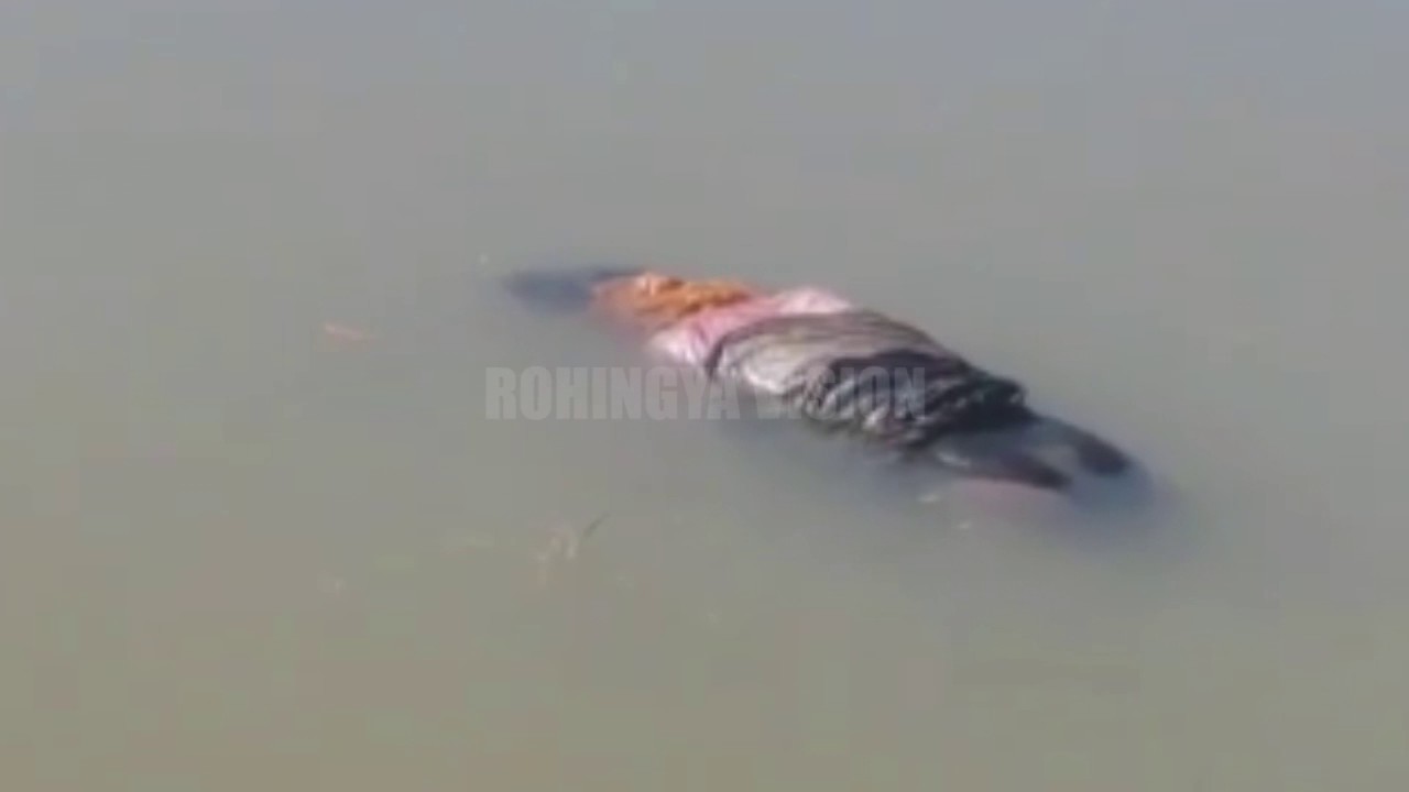 Rohingya Corpse Floating in the Naf River - YouTube