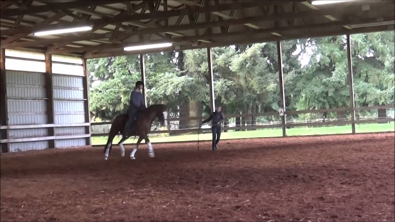 Bugg jesse 2 - YouTube