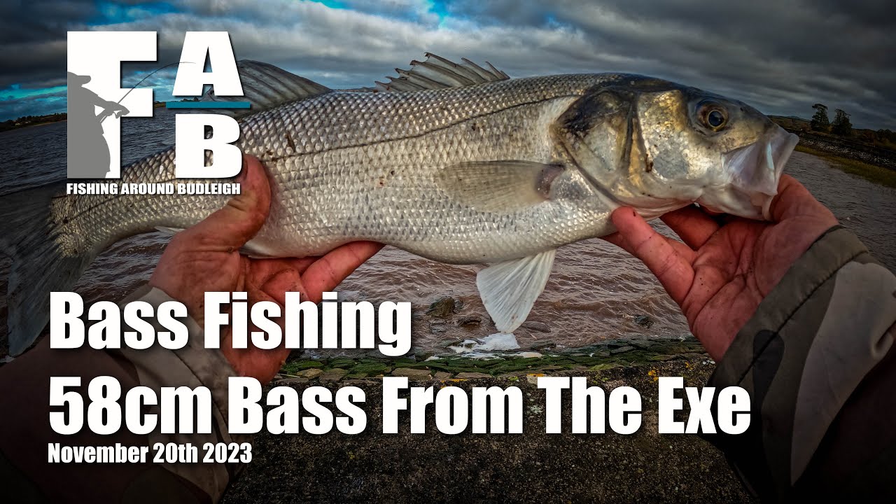 Bass Fishing: BIG Bass in The Estuary - 20th November 2023 - YouTube