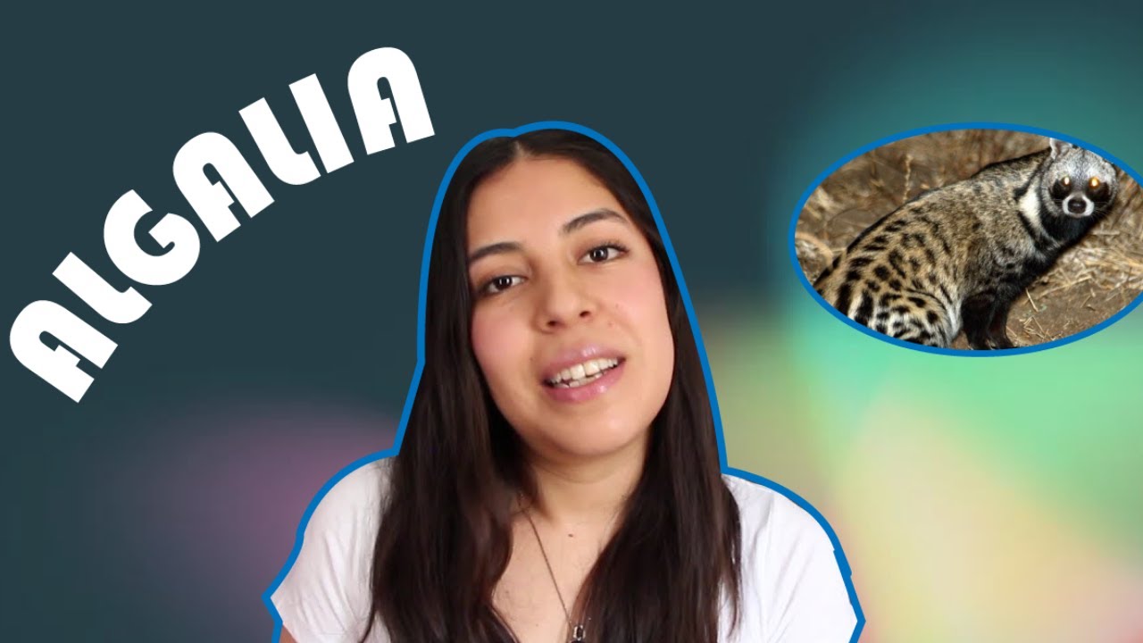 #ALGALIA ¿QUÉ ES? ¿A QUÉ HUELE Y PORQUE LA UTILIZAN EN LOS PERFUMES ...