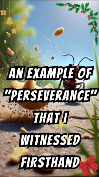 An example of "perseverance" that I witnessed firsthand- #motivation # ...