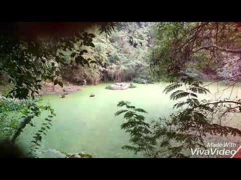 HawA Hawai NUNU CUT - YouTube