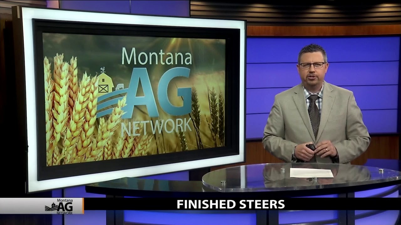 Montana Ag Network report for February 21 - YouTube