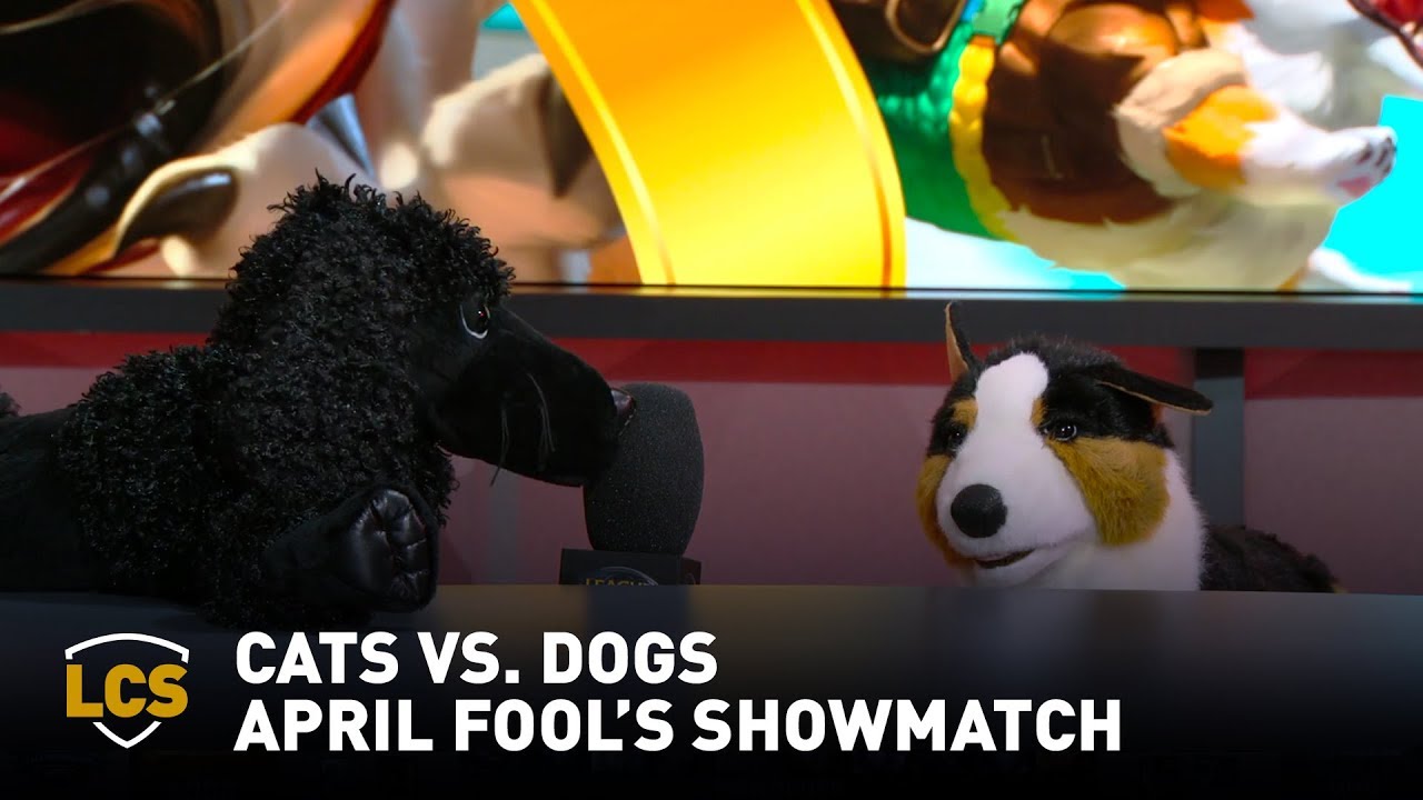 Cats vs. Dogs April Fool's Showmatch - YouTube