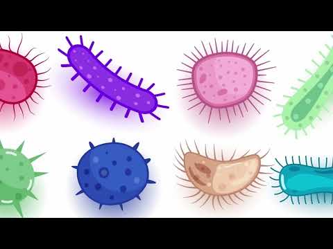 CANLI CANSIZ AYRIMI VE CANLI TÜRLERİ ( #2 - #3 Düzenlemesi )