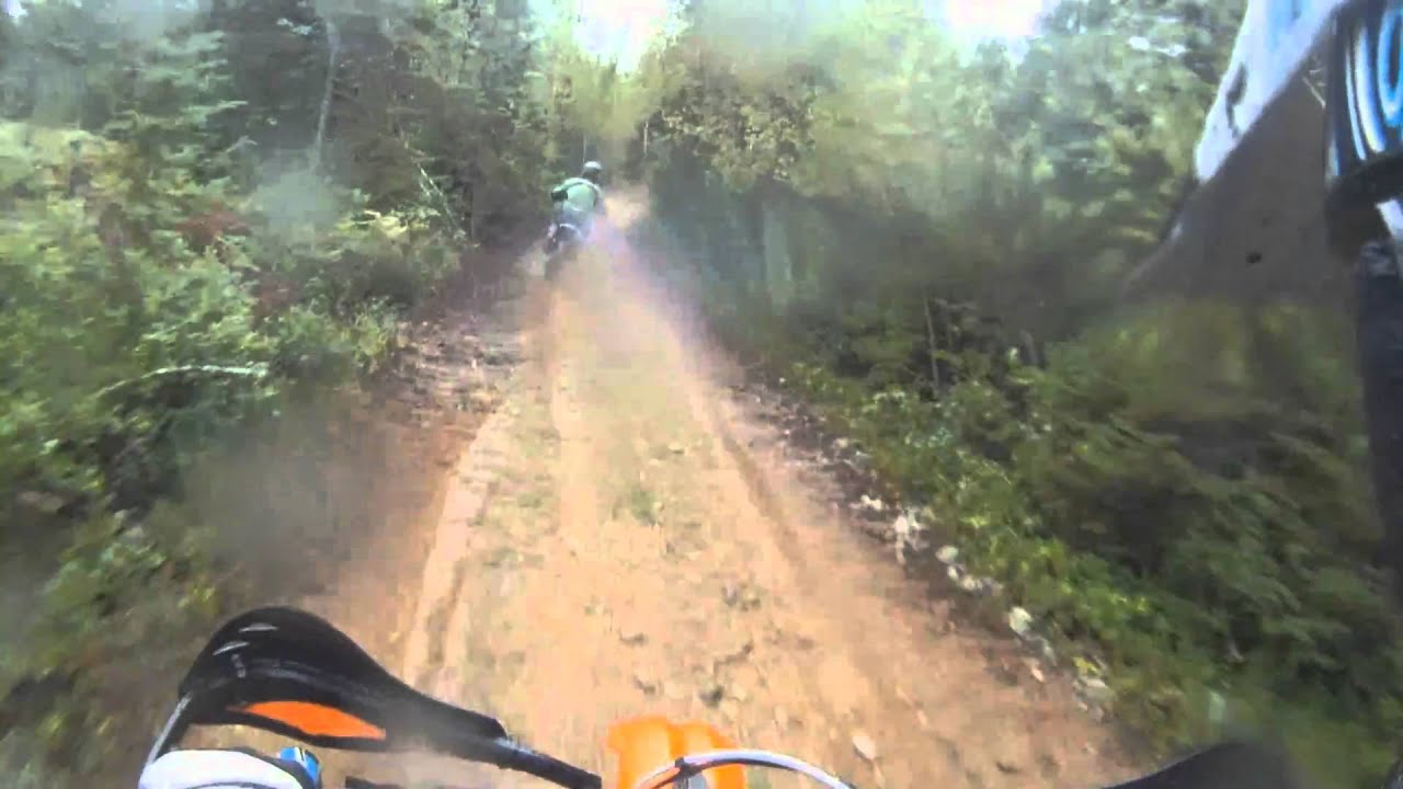 Black Dog 4 - The Quasimoto Edition - YouTube