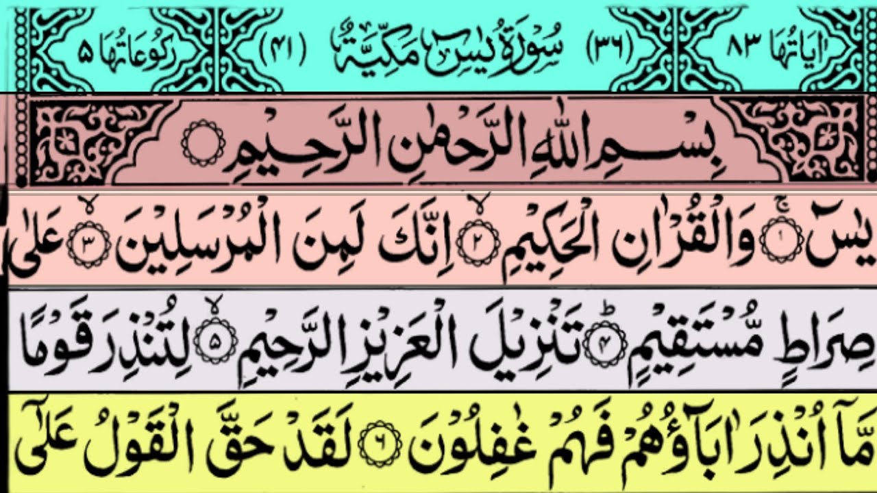 Surah yaseen|yaseen shareef|full yaseen tilawat|Epi93|Daily quran ...