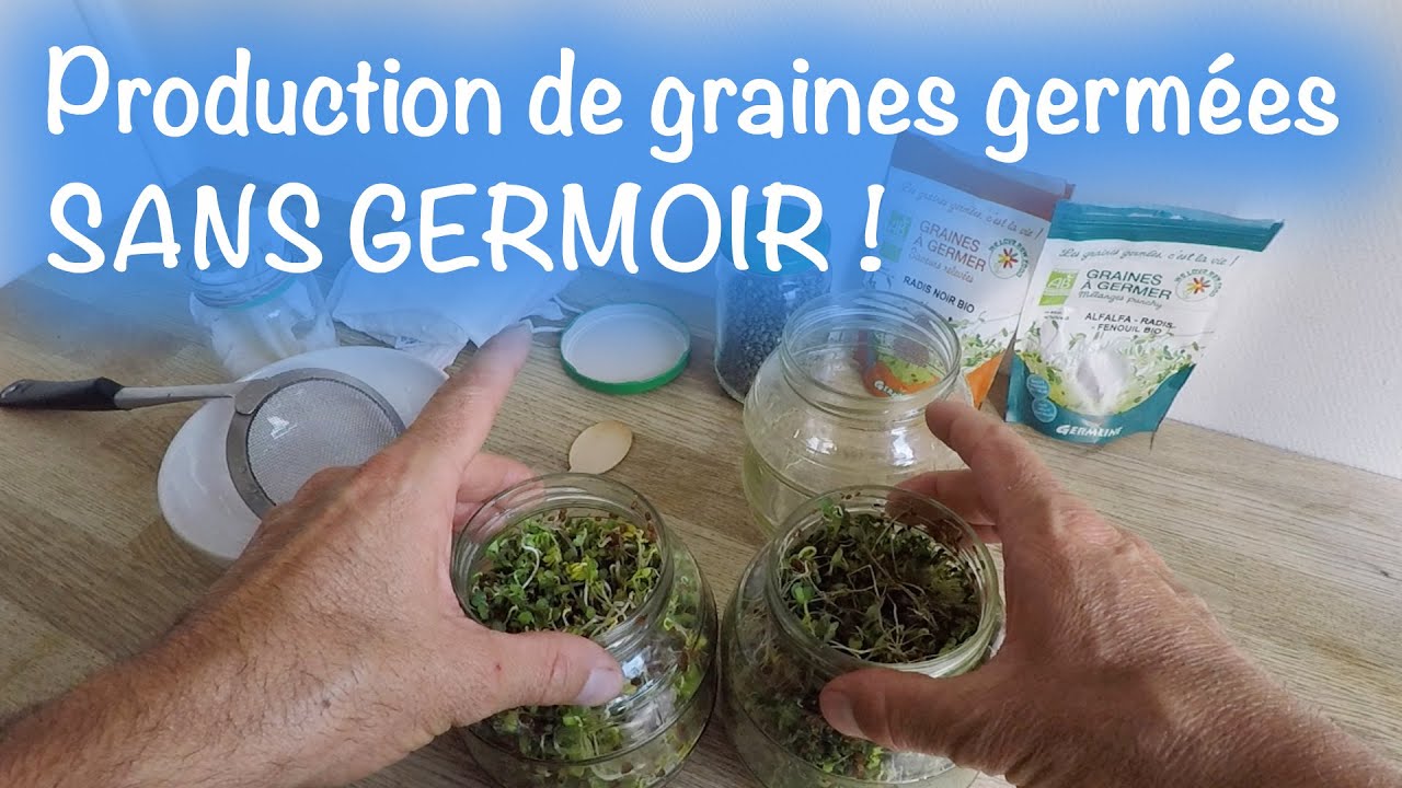 Comment Faire Un Germoir Maison - Home Alqu