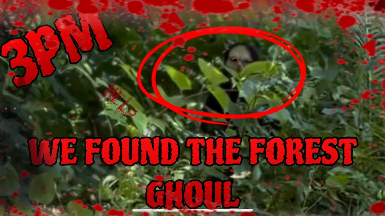 WE FOUND THE FOREST GHOUL!!! (REAL) (3PM) Monster Hunters - YouTube