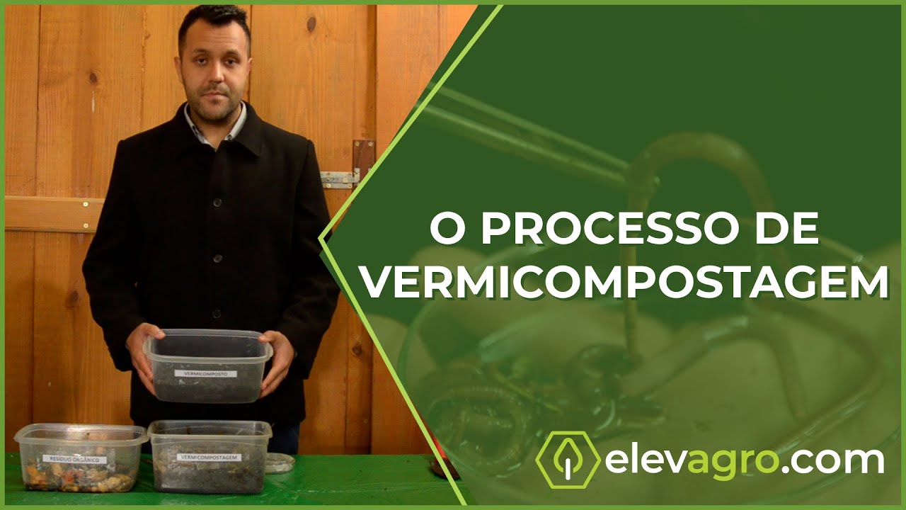 Como funciona o processo de vermicompostagem? - YouTube
