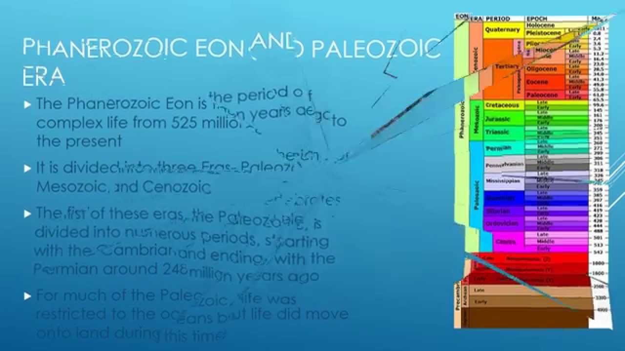 Life in the PALEOZOIC ERA - YouTube