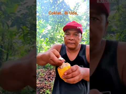sensasi LIDAHH