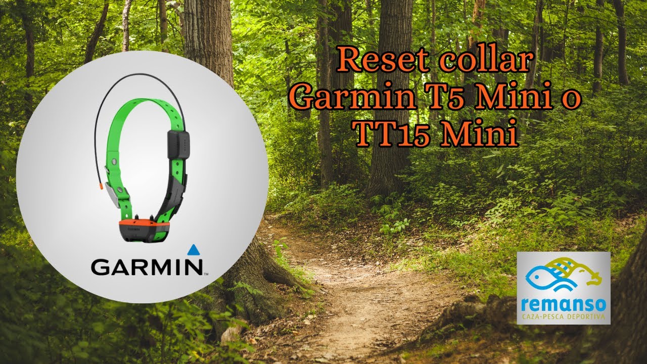 Reset collar Garmin T5 Mini o TT15 Mini - YouTube