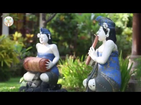 BioDynamic Breathwork & Trauma Release Certification  Teacher Training in Bali, Indonesia