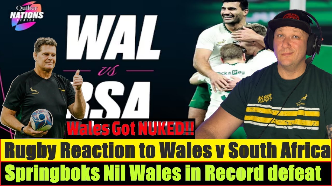 Springbok Rugby reaction to HIGHLIGHTS Wales South Africa Springboks ...