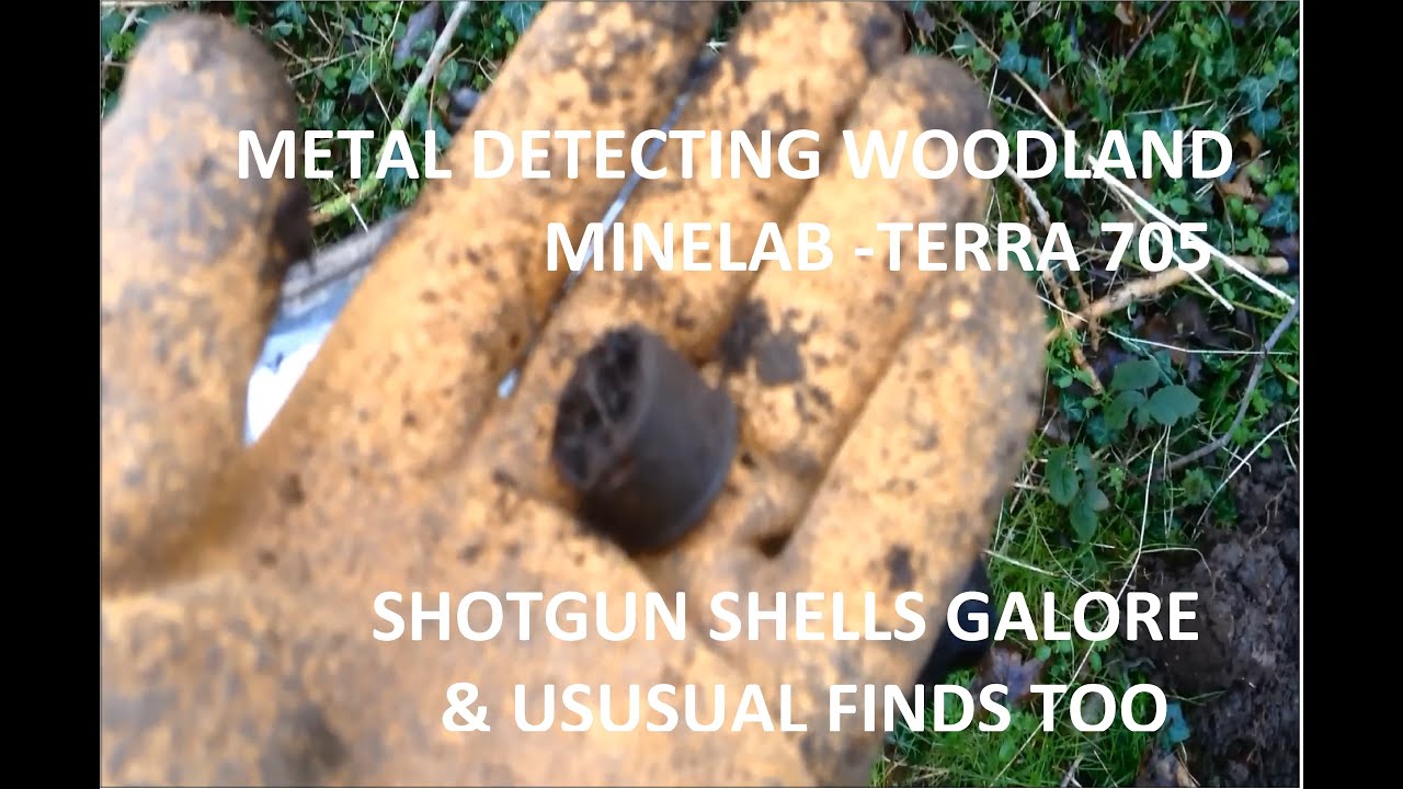 Metal Detecting Woodland Shotgun Shells Galore Minelab X-Terra 705 Live ...