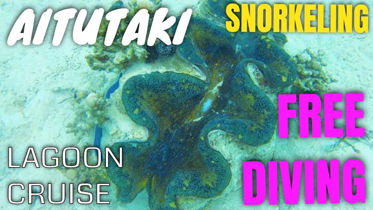 Aitutaki Cook Islands Vaka lagoon cruise snorkeling free diving at one ...