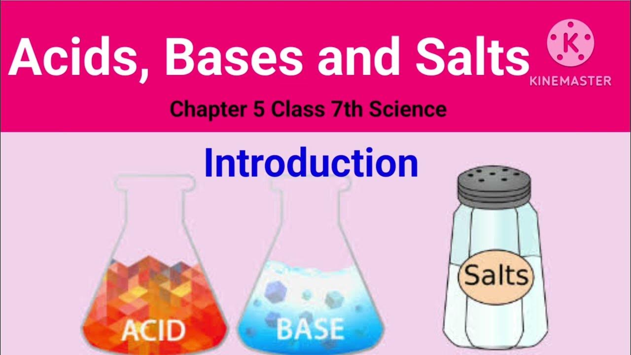 Acids, Bases and Salts, Introduction Chapter 5 Class 7 Science #drrukmanisharma - YouTube