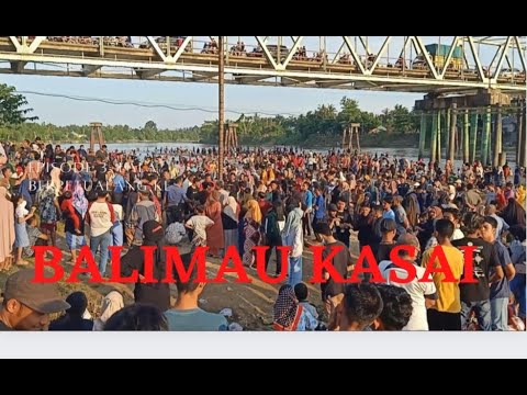 BALIMAU KASAI DI KAMPAR - YouTube