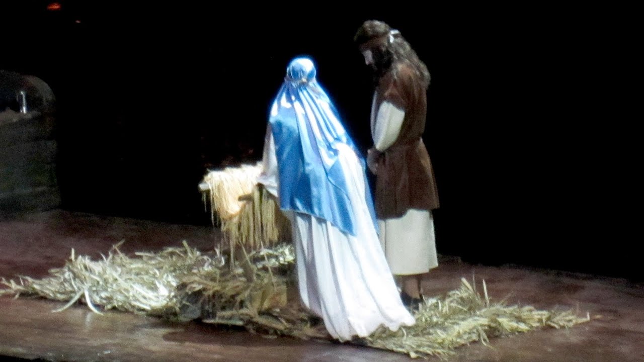 Jesus Was Born on a Pirate Ship (Day 1447 - 11/10/13) - YouTube