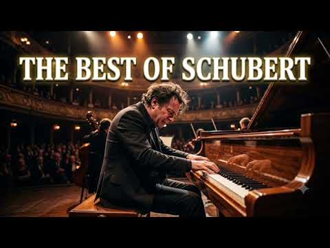 The Best Of schusbert ( As melhores de Schusbert)#music #classicalmusic #musica #bonasera