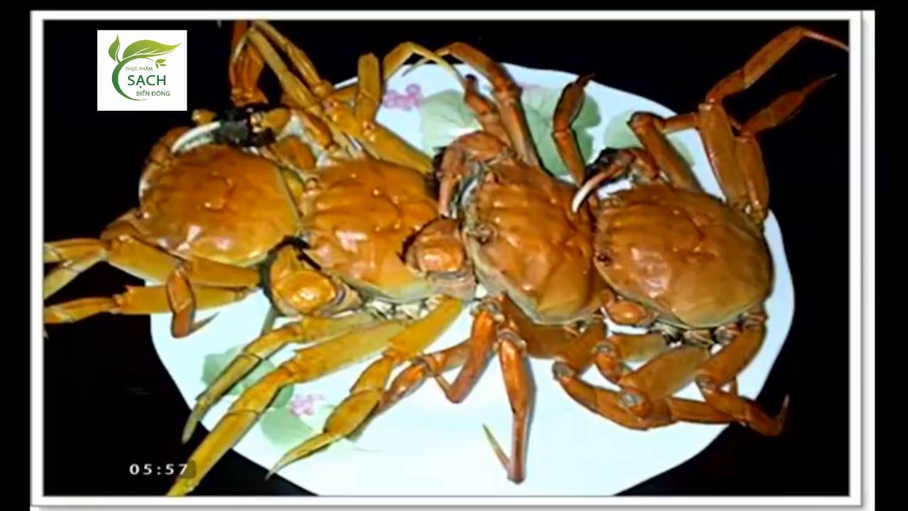 Cua Cà Ra - YouTube