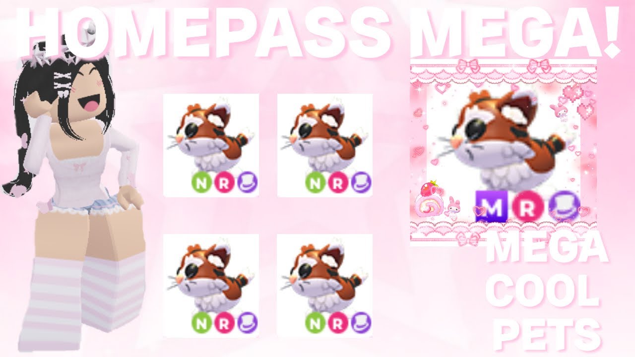 🌈 I Made a MEGA Neon Munchkin Cat in Adopt Me! (Home Pass Update 🐱 ) - YouTube