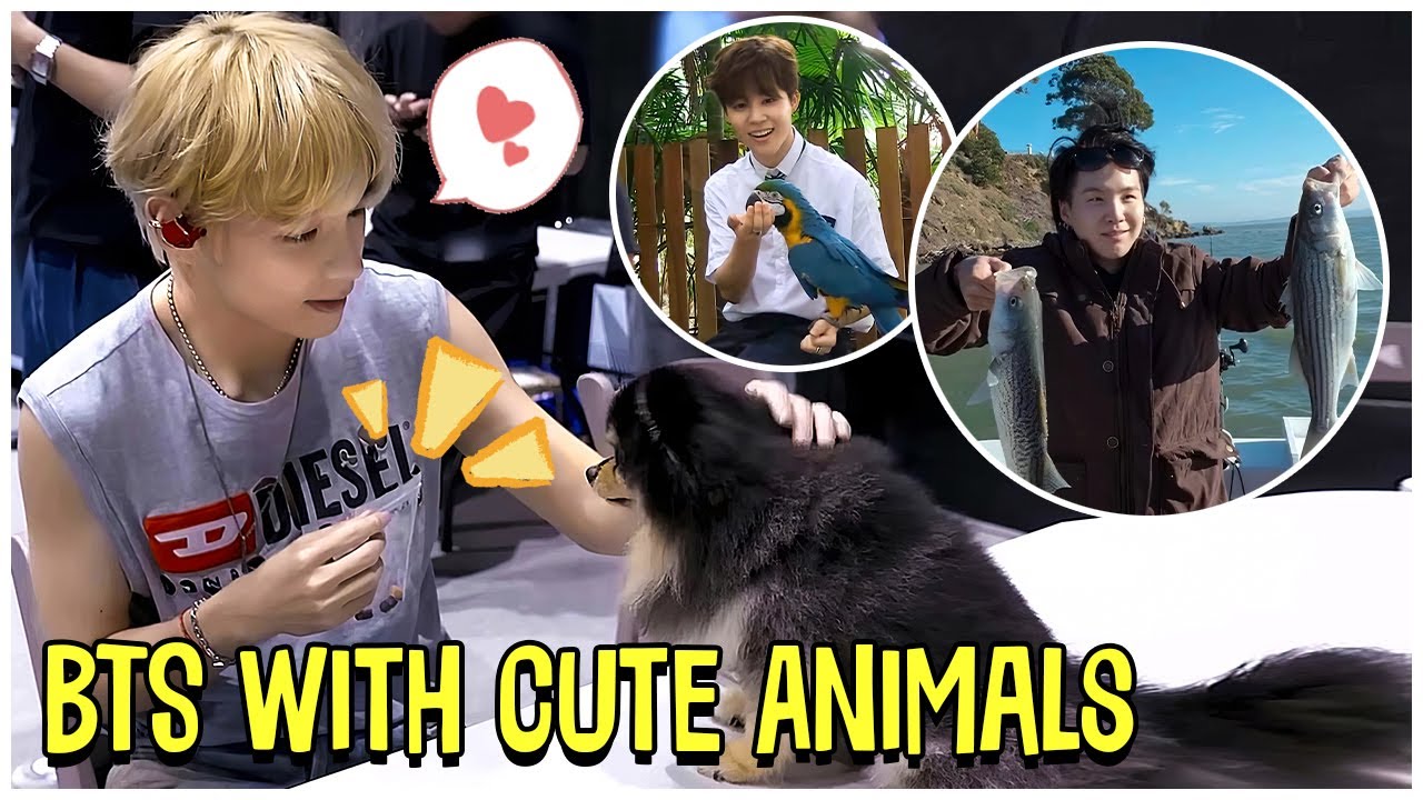 BTS With Cute Animals - YouTube
