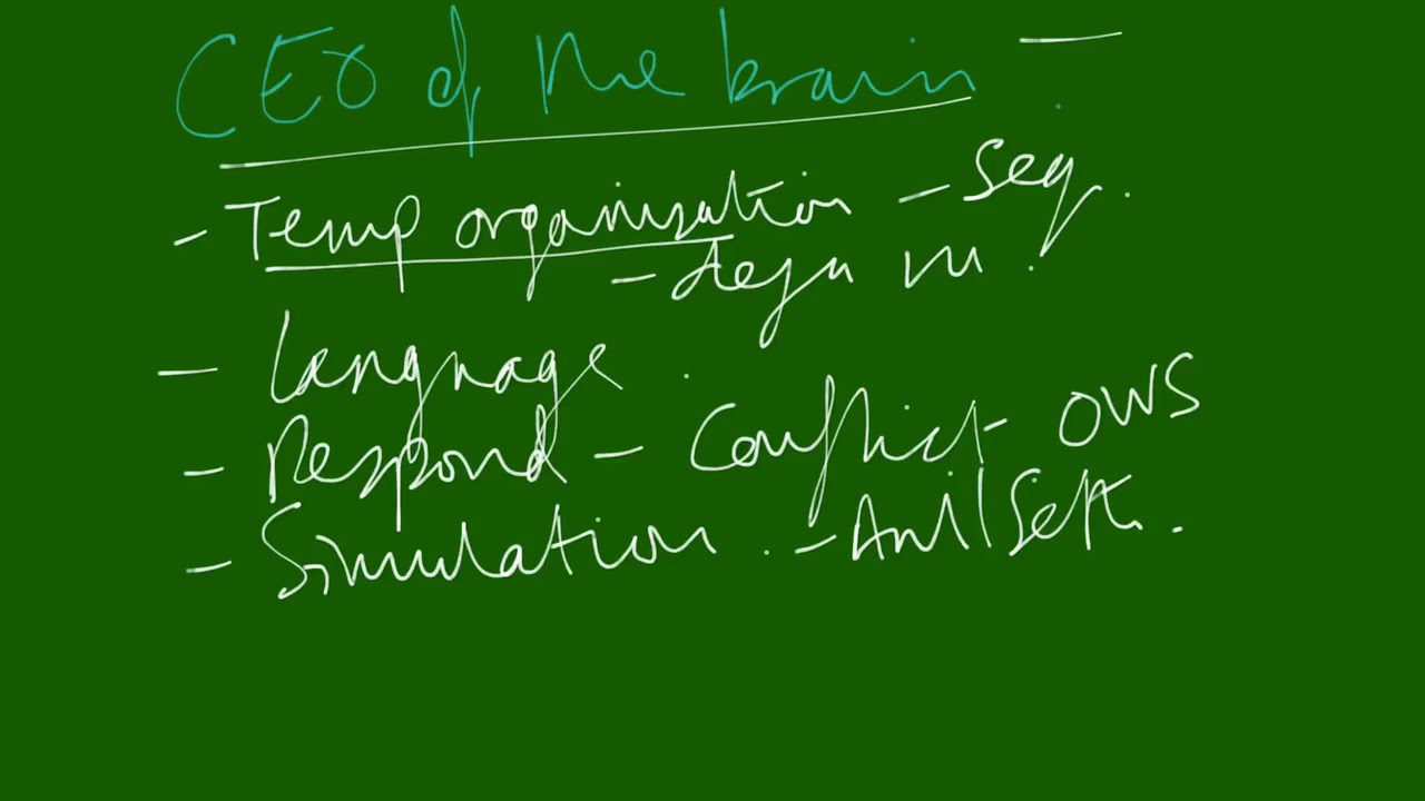 Overview of the Dorsolateral Prefrontal Cortex (DLPFC) - YouTube