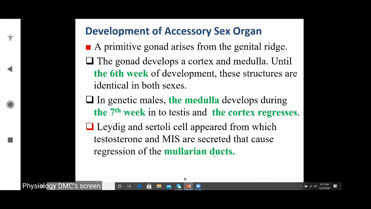 Physiology of Male Reproductive System |Lecture|Card-6,Item-1 - YouTube