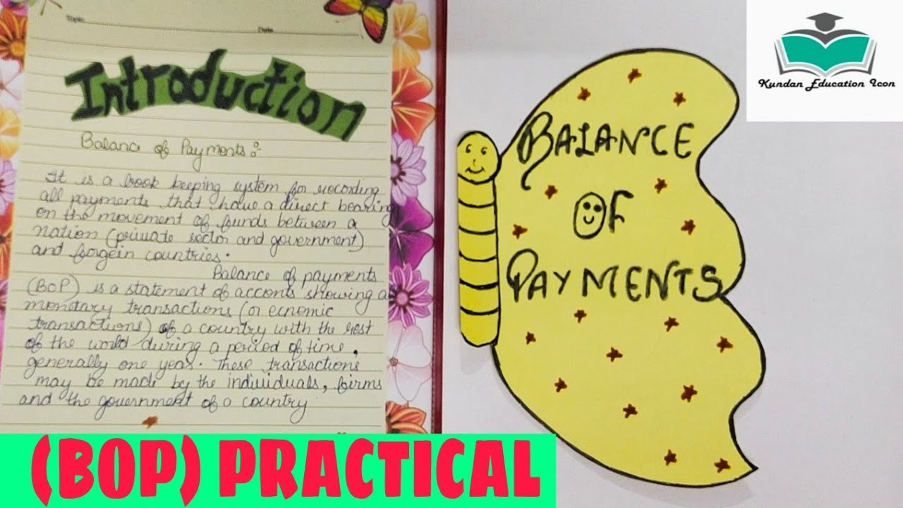 Economic Project on BOP and Natural Income || Class - 12 Practical 2020 ...