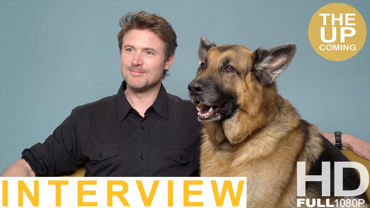 John Reardon on Hudson & Rex season 6 - YouTube