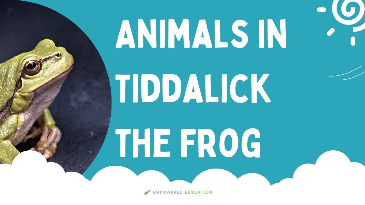 Animals in Tiddalick the Frog - YouTube