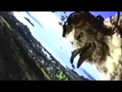 Nissan Top Gun Birds (Super Bowl 31) 1997 Commercial - YouTube