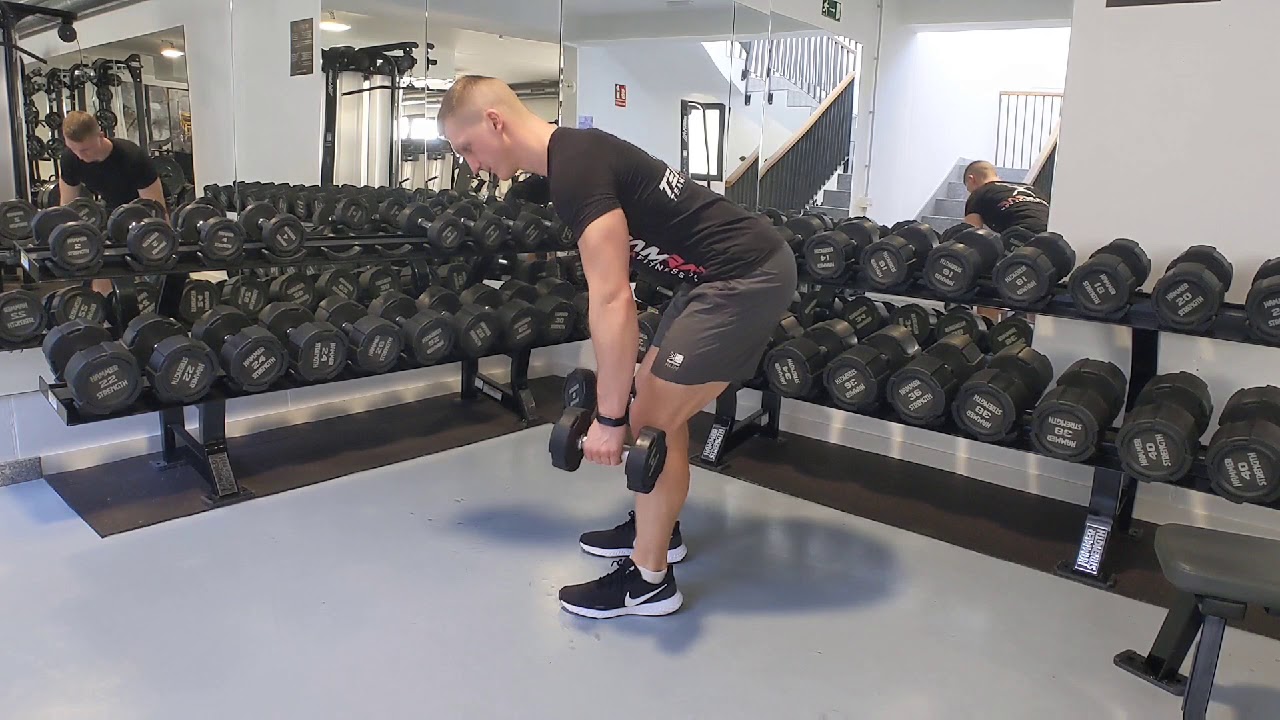 Dumbbell Standing Row - bent over row Team RA Fitness - YouTube