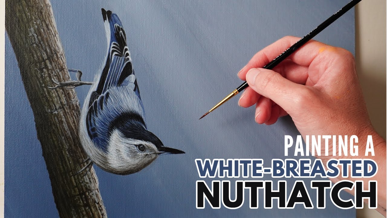 Nuthatch Acrylic Painting | Timelapse - YouTube